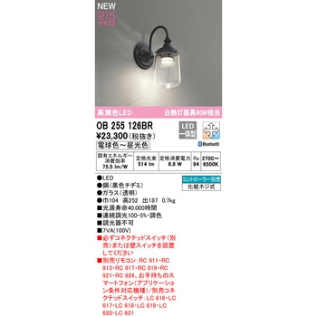 OB255126BR ブラケットライト ODELIC(オーデリック) 電球色～昼光色 2700～6500K Ra94 幅104mm高さ252mm OB255126BR - 【通販モノタロウ】
