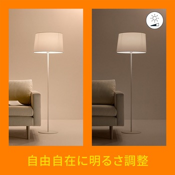 WIZ09RC WiZ リモコン 1個 フィリップス 【通販モノタロウ】