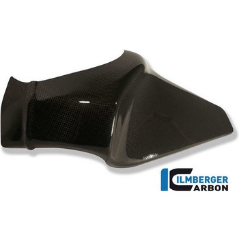 RAL.006.1125R.K カーボンパーツ フレームカバー 左側 1125 R 1個 ILMBERGER (イルムバーガーカーボンパーツ ...