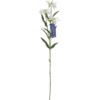 エーデルワイス 横浜ディスプレイミュージアム フェイクフラワー 【通販モノタロウ】