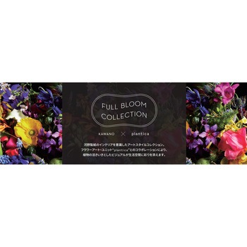 FULL BLOOM COLLECTIONプレミアムライトローションティシュ FULLBLOOM COLLECTION ボックスタイプ - 【通販モノタロウ】