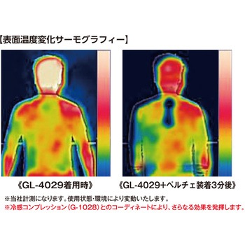 GP-834 ペルチェデバイス クーラーユニット VOLTCOOL ブラック色 フリーサイズ GP-834 - 【通販モノタロウ】