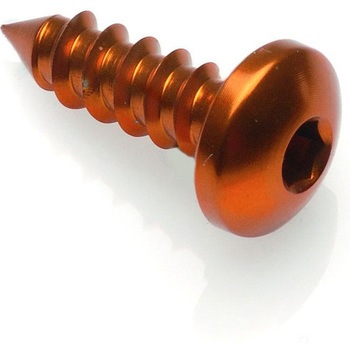 PAC25516ORO SELF TAPPING SCREW 002 D=5，5X16 ERGAL 1個 LIGHTECH (ライテック ...