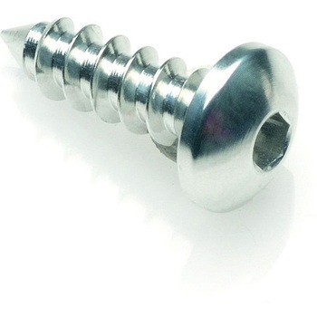 PAC25519SIL SELF TAPPING SCREW 002 D=5，5X19 ERGAL 1個 LIGHTECH (ライテック ...