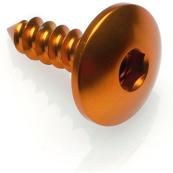 SELF TAPPING SCREW 003 D=4，9X16 ERGAL LIGHTECH (ライテック) バイク用ネジ 【通販モノタロウ】