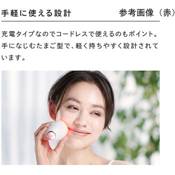 RE-AK12A ReFa BEAUTECH SPOT RE-AKシリーズ 1個 MTG 【通販モノタロウ】