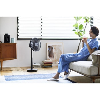 SF-V191K DC音声操作サーキュレーター扇風機 ポチたま扇 静音 風量8段階 リモコン付 ブラック 1台 siroca 【通販モノタロウ】