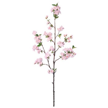 33-6-7-1 うたかた桜スプレー 110cm 1個 アズワン 【通販モノタロウ】