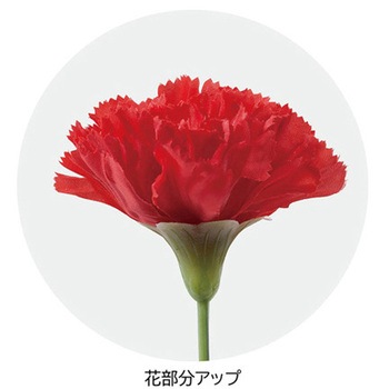 33-55-1-4 カーネーションラップ巻 レッド 23-55-1シリーズ 1本(20本) アズワン 【通販モノタロウ】