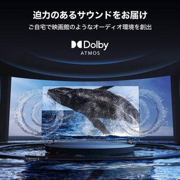 43P735 4Kチューナー内蔵 GoogleTV搭載 液晶スマートテレビ 1個 43P735 4Kチューナー内蔵 GoogleTV搭載 液晶スマートテレビ 1個