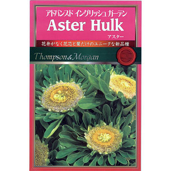 527393 アスターAster Hulk 1袋(0.08mL) アタリヤ農園 【通販モノタロウ】