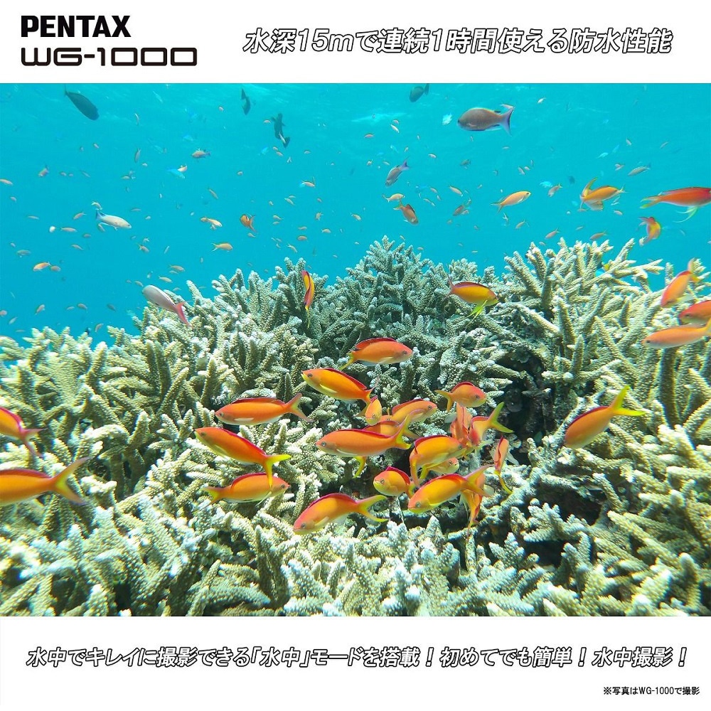 WG-1000 GRAY 防水防塵デジタルカメラ PENTAX WG-1000 PENTAX WG-1000 GRAY 防水防塵デジタルカメラ PENTAX WG-1000 PENTAX