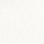 一般壁紙 LIGHT 不燃認定 撥水トップコート 軽量・耐クラック LL-7664 リリカラ 壁紙 【通販モノタロウ】