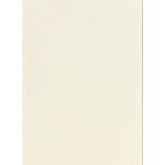 MCX100 【要来店】フラット無塗装品実付き3×10 1枚 ニチハ 【通販モノタロウ】